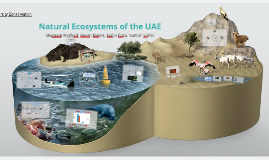 Natural Ecosystems of the UAE by Reem Almansoori on Prezi