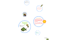 Why do all living things (plants and animals) need food? by Erin ...