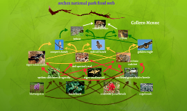 arches national park food web by Colleen Menne on Prezi