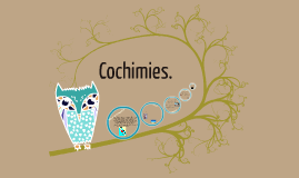 Cochimies by raul astudillo on Prezi