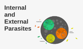 Internal and External Parasites by Danielle Rosson on Prezi