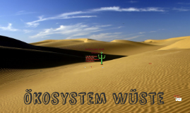 Ökosystem Wüste by Sarah Rihane on Prezi