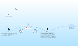 Import Genius Presentation by Import Genius on Prezi