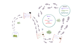 Stable Food Supply of Ancient Egypt by Lisa Barbee on Prezi