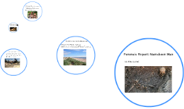 Forensic Report: Narrabeen Man by Miles Barrett on Prezi