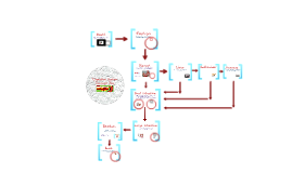 Digestive System Concept Map. by Cindy McGuire on Prezi