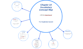 Chapter 16 Vocabulary Concept Map by Anthony Malachowski on Prezi