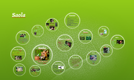 Saola by Nicole Sadlier on Prezi