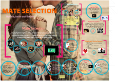 MATE SELECTION by Daniela Cousineau on Prezi