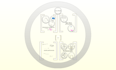 consumer rituals by Jessi Gummo on Prezi