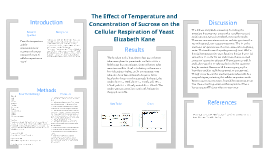 Cellular respiration of yeast lab by Elizabeth Kane on Prezi