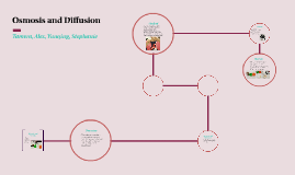 Osmosis and Real Life Application by Alex Caballero on Prezi