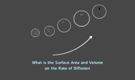 Effect of surface area and volume on the rate of diffusion by Hana Jawz ...
