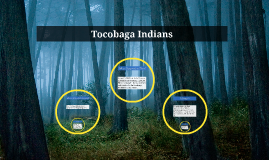 Tocobaga Indians by on Prezi