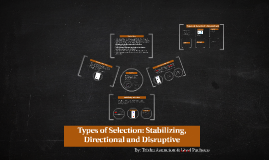 Types of Selection: Stabilizing, Directional and Disruptive by gisel ...