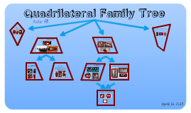 Quadrilateral Family Tree Explore Rules Of Quadrilaterals