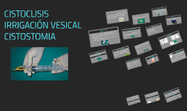 CISTOCLISIS by Blanca García on Prezi