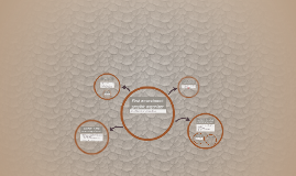 First amendment graphic organizer by kirk carr on Prezi