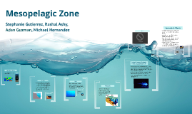 Mesopelagic Zone by Michael Hernandez on Prezi