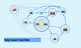 Kelp Forest Food Web by Elaine Cheng on Prezi