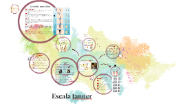 estadios de Tanner by stiago mejia on Prezi