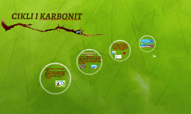 CIKLI I KARBONIT by Kristi Ana on Prezi