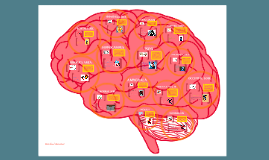 Superhero Brain Project by Rachel Boozer on Prezi