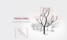 Selective Cutting by Mia Anderson on Prezi