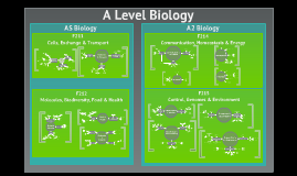 A Level Biology (OCR) by Joe Wright on Prezi