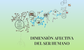 dimension afectiva del ser humano by angelica torres on Prezi