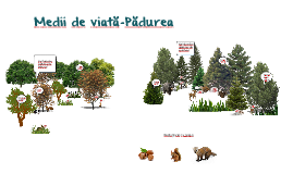 Medii de viata-Padurea by ione mareniuc on Prezi