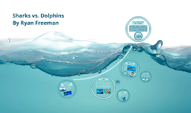 The Difference Between Sharks and Dolphins by on Prezi