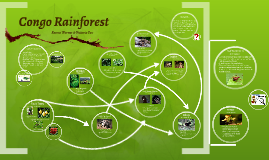 Congo Rainforest by Emma Werner on Prezi