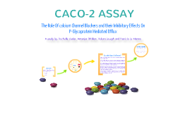 Caco-2 Assay by Patricia Pharm on Prezi
