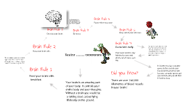 Tasmanian Devil - Life Cycle by Thomas Graham on Prezi