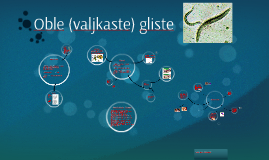 Oble (valjkaste) gliste by Nejra Djulancic on Prezi