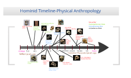 Hominid Timeline- Physical Anthropology by Faris Jamil on Prezi