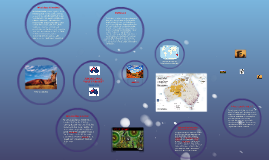 Walkabout ceremony,Australia culture by casper good on Prezi
