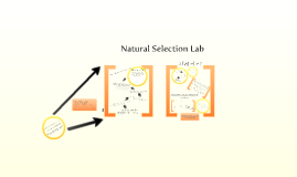 Natural Selection Lab by Christina Le on Prezi