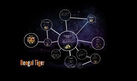 Bengal Tiger Niche by David Martinez on Prezi