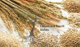 Cereals and Starch Dishes by irish capisinio on Prezi