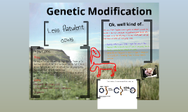 Less Flatulent Cows by Holly Feeney on Prezi