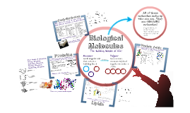 Biological Molecules: The Building Blocks of Life! by Ms. Germinario on ...
