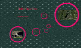 Sand Cat Food Web by Ahsan Parvez on Prezi