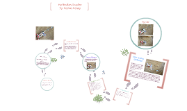 Newton Scooter by Emil Godsen on Prezi