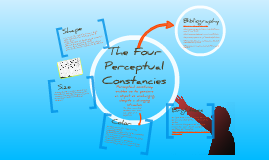 The Four Perceptual Constancies by Paige Ferland on Prezi