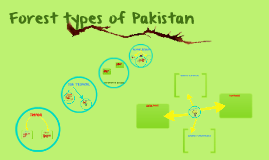 Forest types of Pakistan by Ashley Malik on Prezi