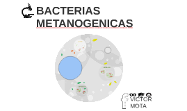 BACTERIAS METANOGENICAS by Victor Mota on Prezi