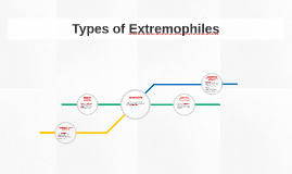 Types of Extremophiles by Ryan Hockemeyer on Prezi