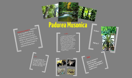 Zona Calda : ~Padurea Musonica ~ by Gradinariu Laura on Prezi
